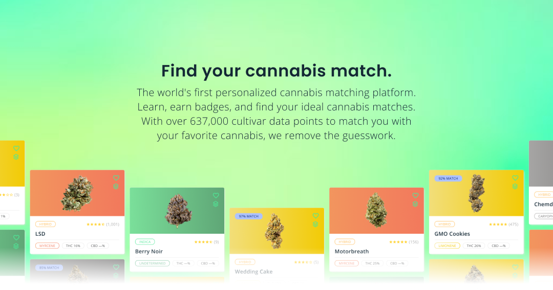 HashDash | Find your Cannabis Match